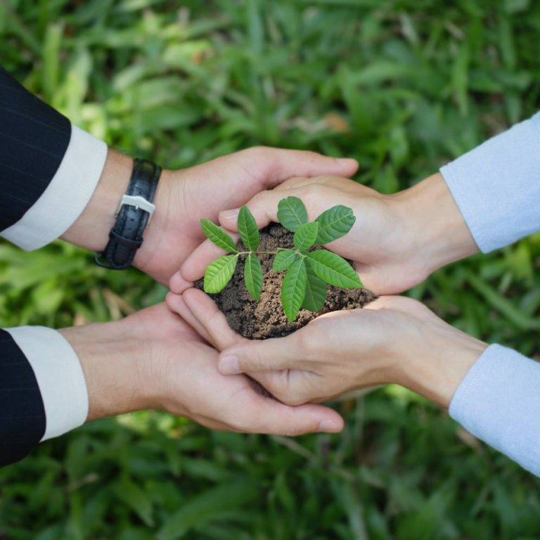 Empresas Sustentáveis O Que São E Quais Suas Práticas